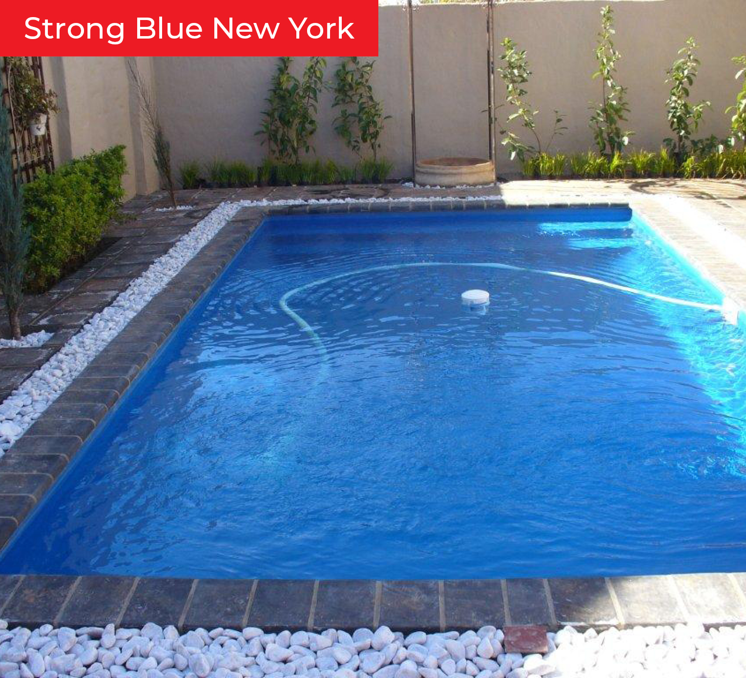 Gallery | XQUISITE POOLS & DIY